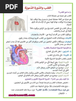 Elyssa Et Poupou | PDF