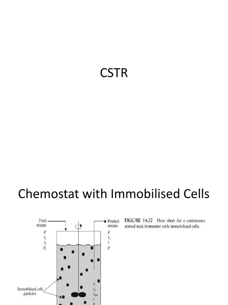 CSTR With Immobilization | PDF