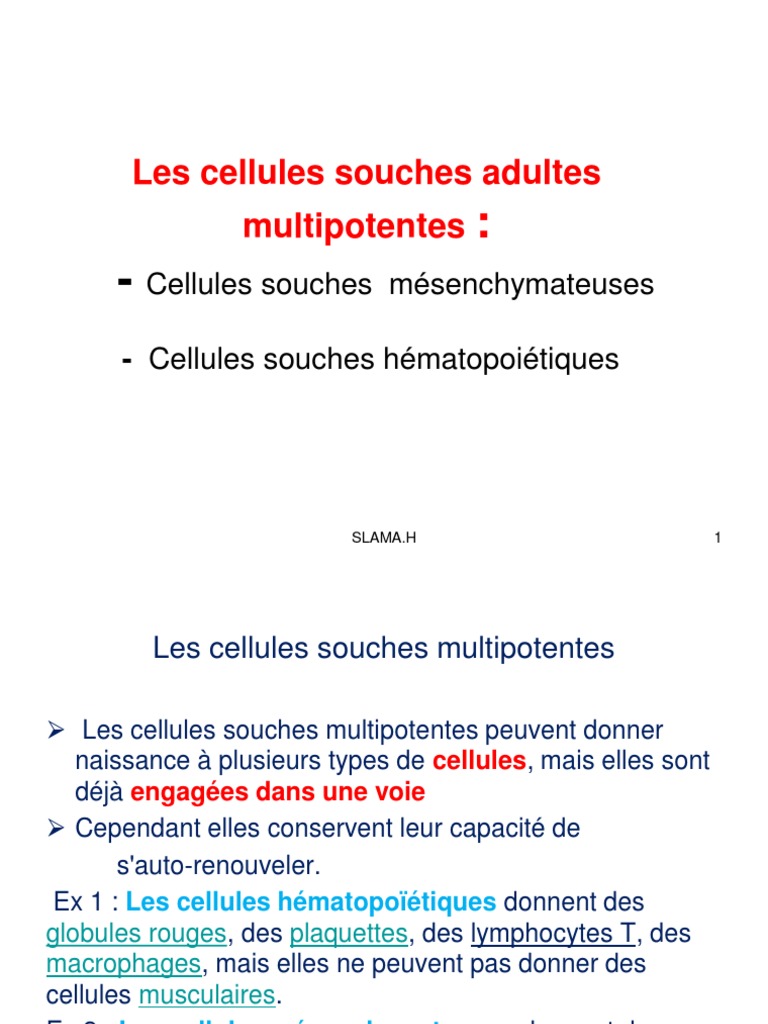 Les Cellules souches Multipotentes.biotech.SH.2023 | PDF
