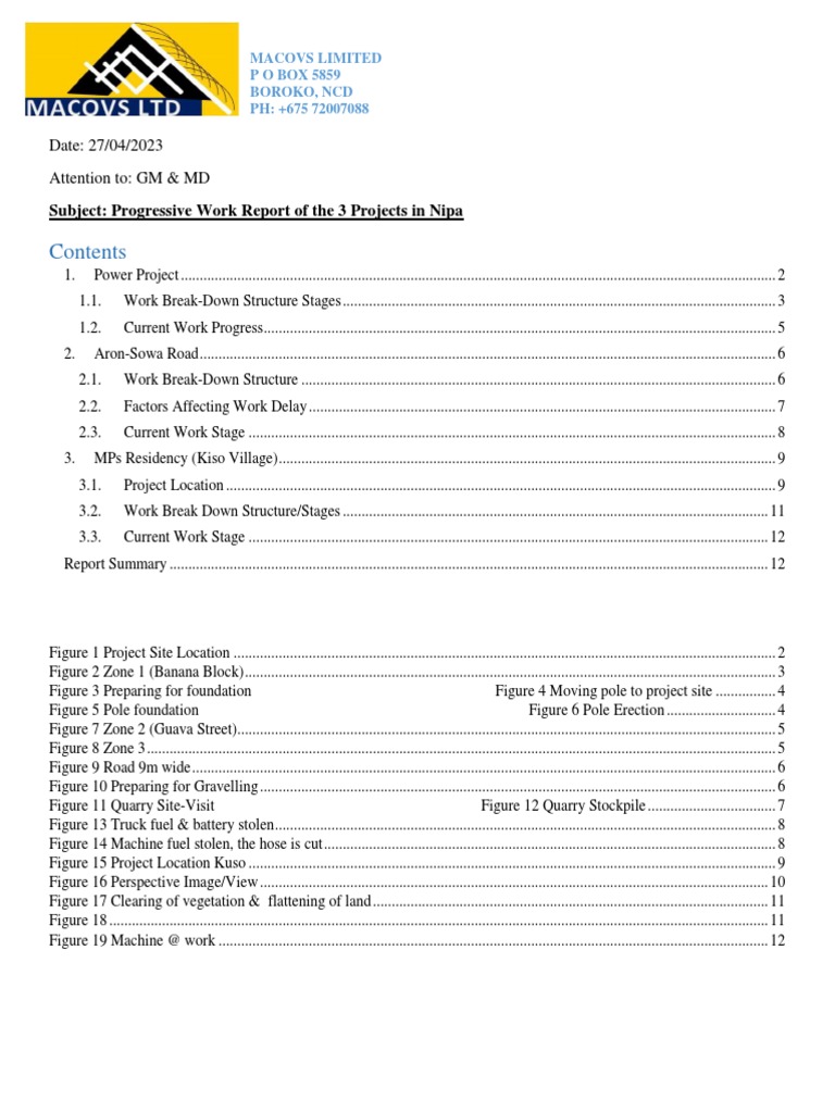 Nipa Projects Work Report | PDF