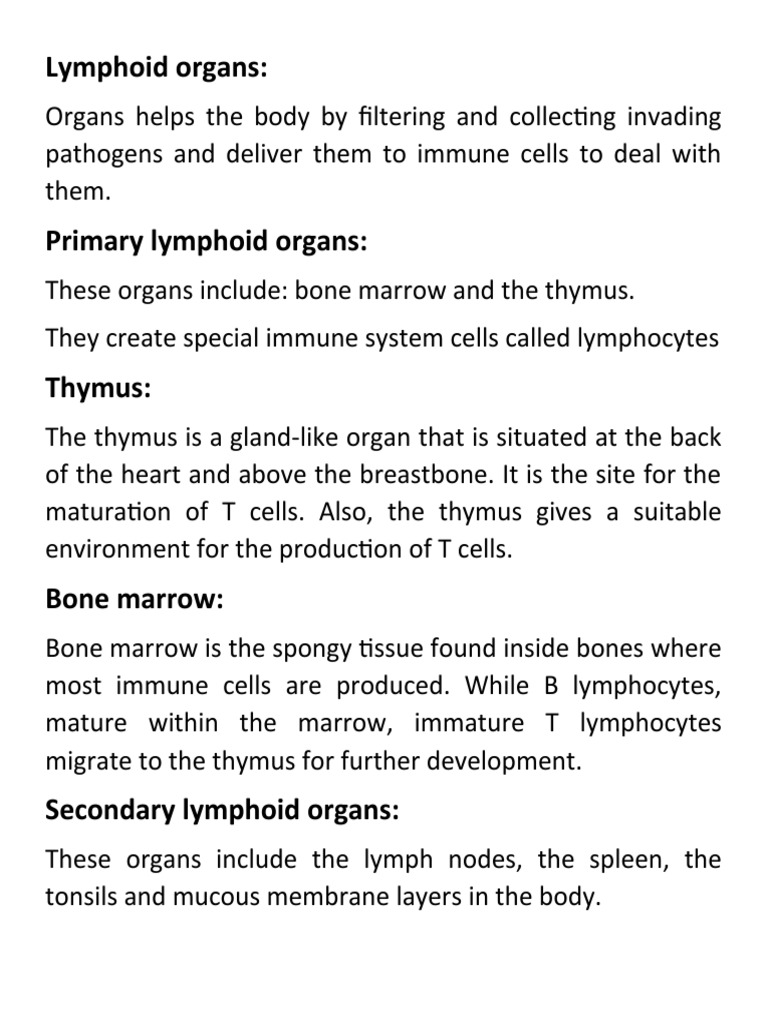 Lymphoid Organs | PDF | Politics