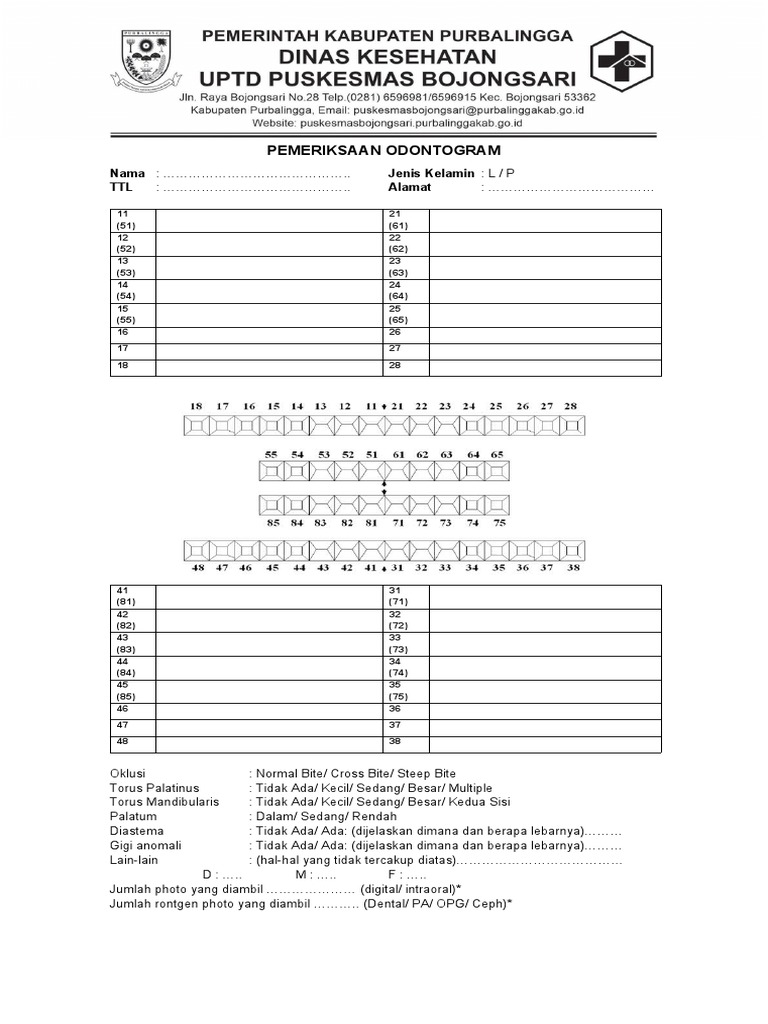 Format Odontogram | PDF