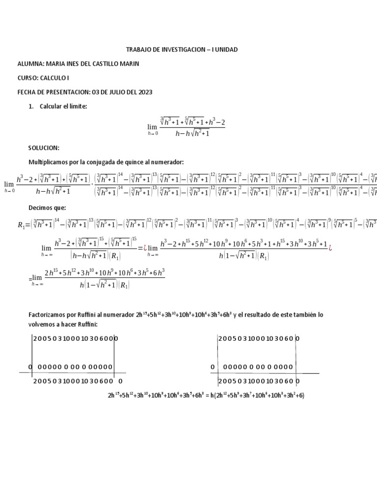 Ines Del Castillo - Calculo I | PDF