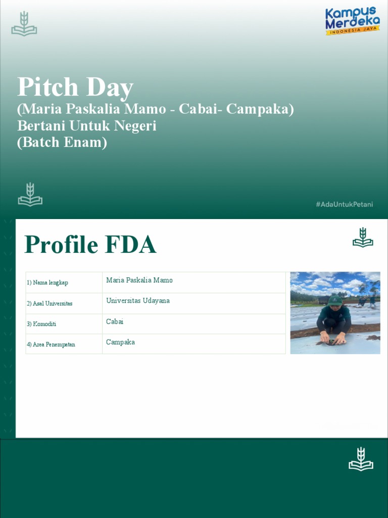Pitch Deck Cabai Campaka Maria Paskalia Mamo | PDF