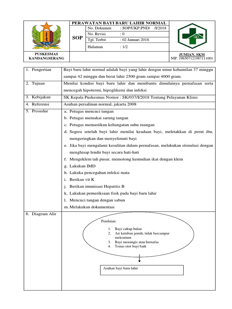 Sop Bayi Baru Lahir | PDF