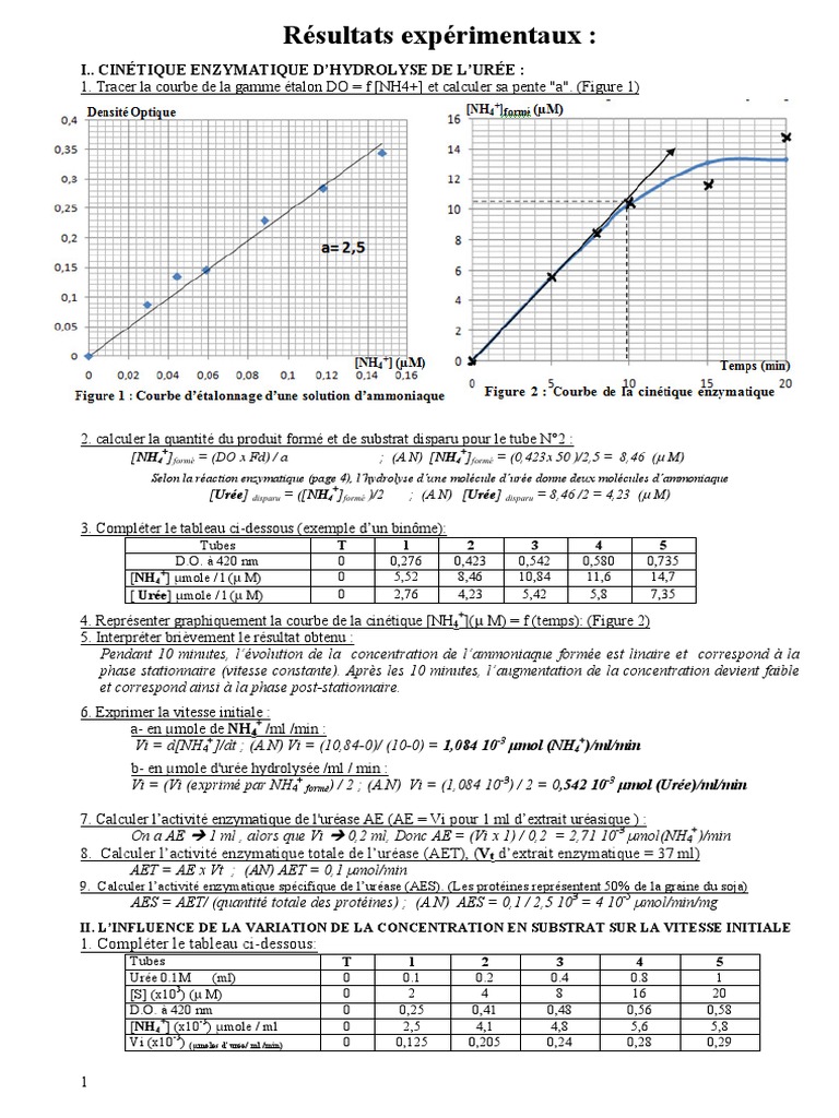 Corrige CR TP Sv4 Biochmeta | PDF | Sciences physiques | Biomolécules