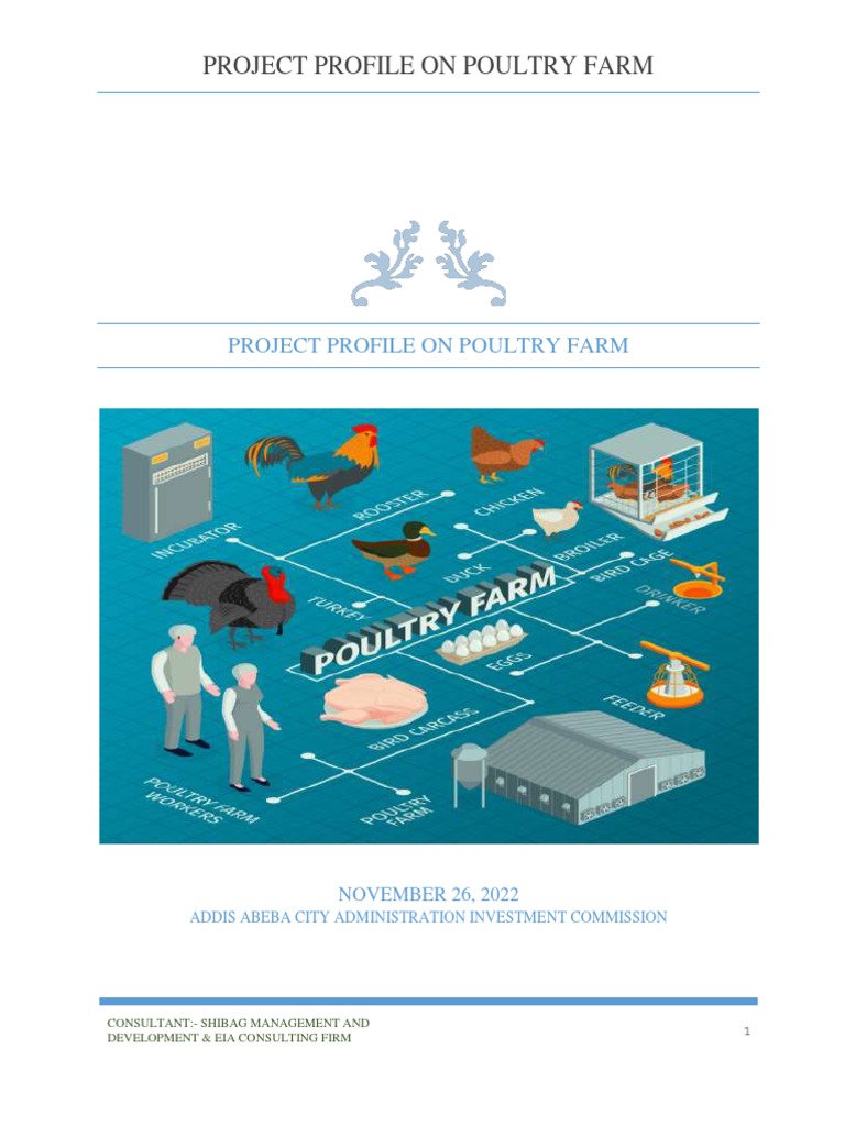 1) Profile On Poultry Farm | PDF | Chicken | Broiler