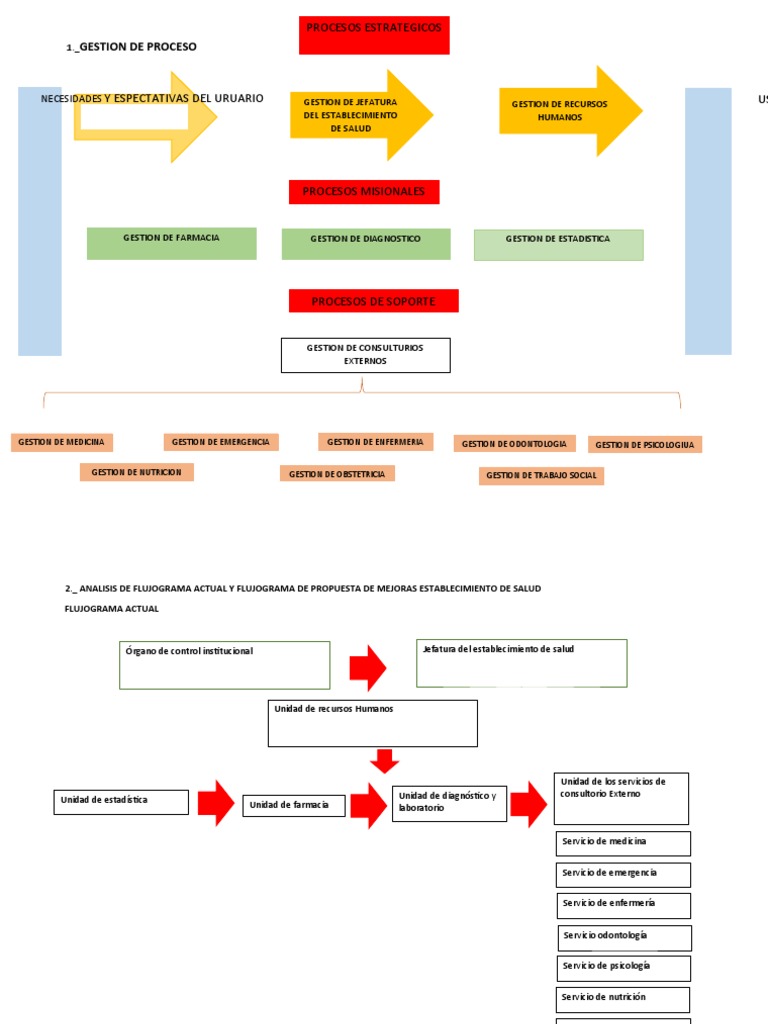 Gestion de Proceso Mapas Conceptual | PDF | Medicina CLINICA | Especialidades Medicas