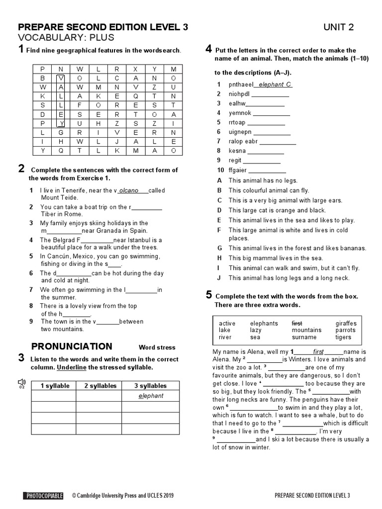 PREPARE 3 Vocabulary Plus Unit 02 | PDF