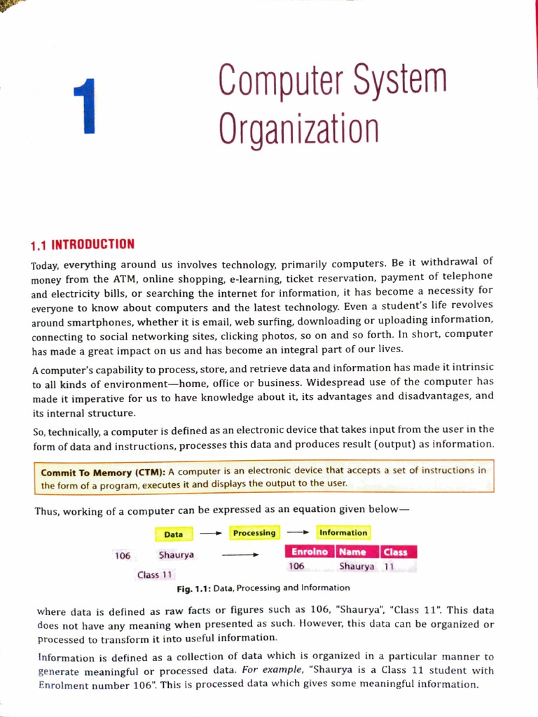 Computer System Organization Pdf