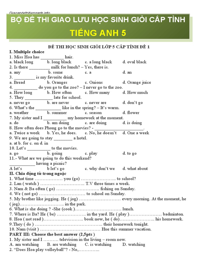 Bo de Thi Hoc Sinh Gioi Tieng Anh Lop 5 Giaoandethitienganhinfo | PDF | Vietnam