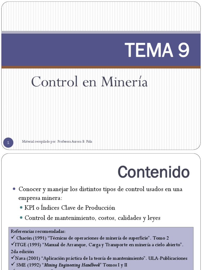 TEMA 9 Control en Minería | PDF | Minería