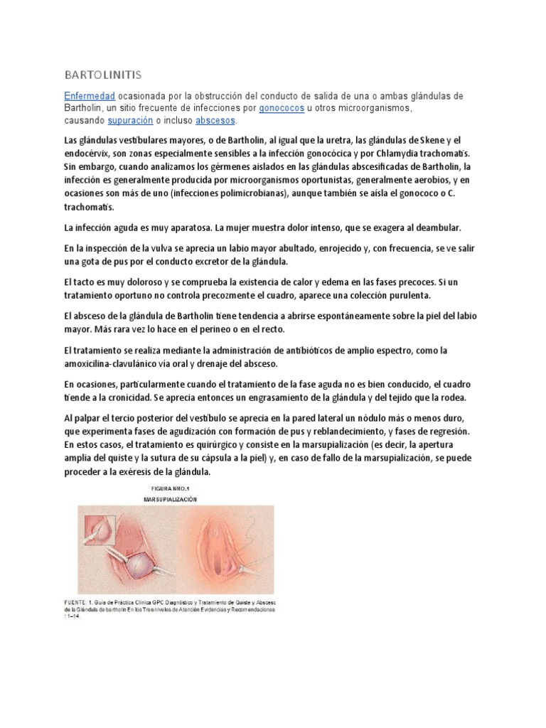 BARTOLINITIS | PDF | Ciencias sociales