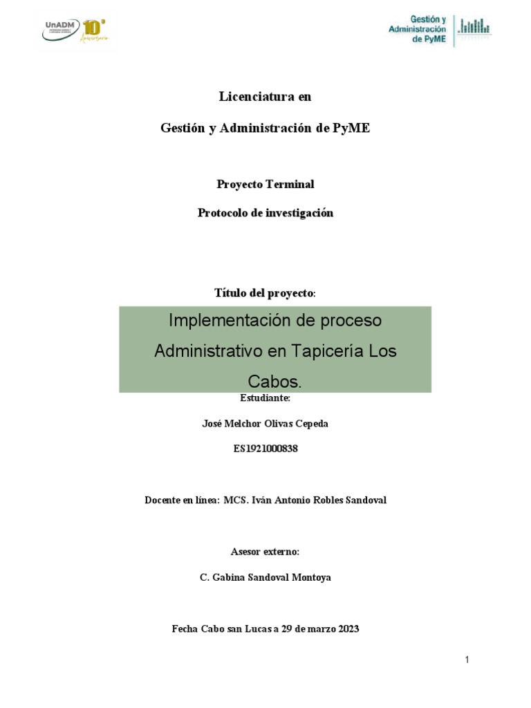 Protocolo de Investigación en PyME Tapicería | PDF | Planificación | Business