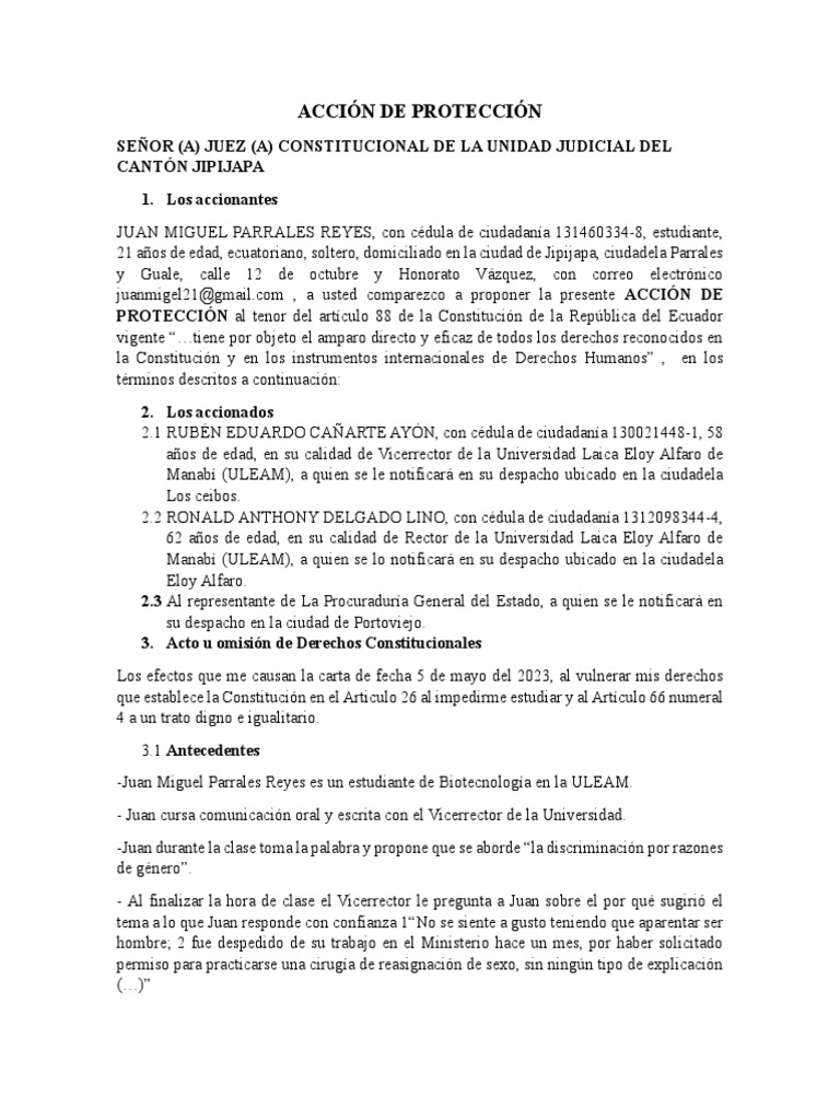 Acción De Protección Pdf Debido Al Proceso Justicia