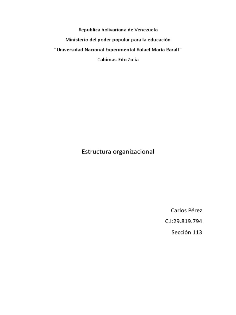 Tipos de Estructuras Organizacionales | PDF