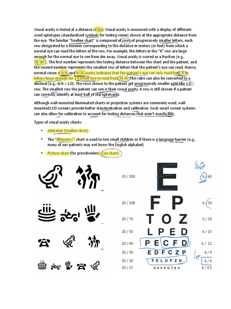 Visual Acuity | PDF