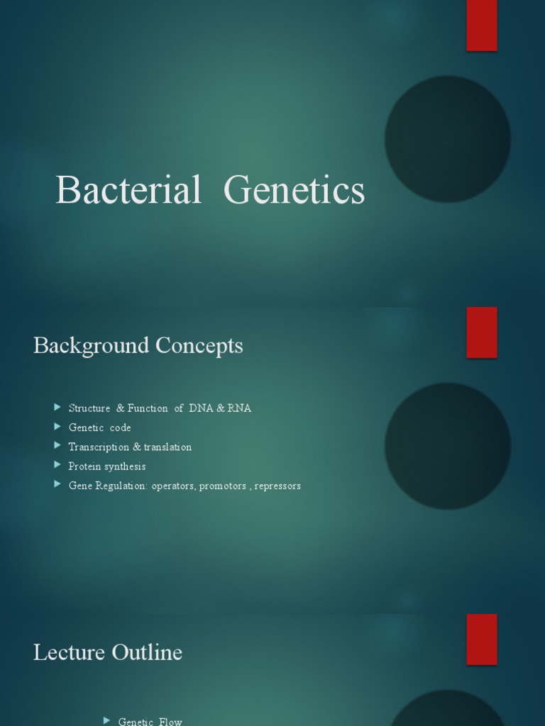 Bacterial Genetics | PDF | Genetics | Point Mutation