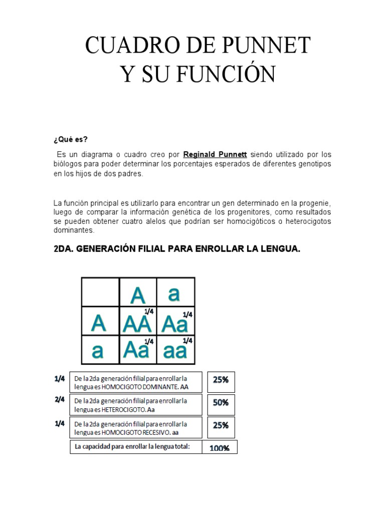 Cuadro de Punnett PDF | PDF