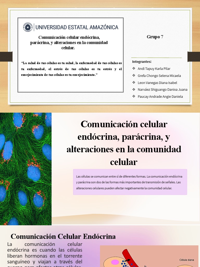 Comunicación Celular endocrina, paracrina y alteraciones celulares ...