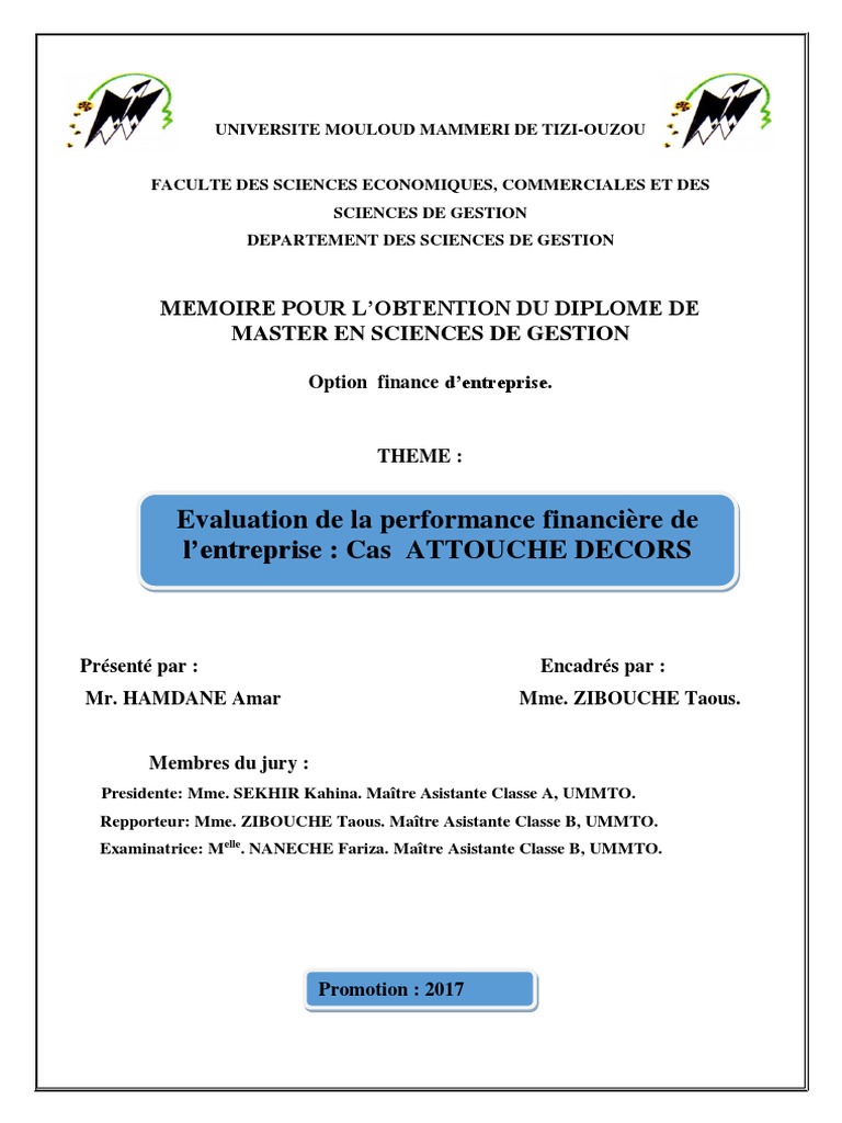 Mémoire Complet | PDF | Évolution de carrière | Affaires