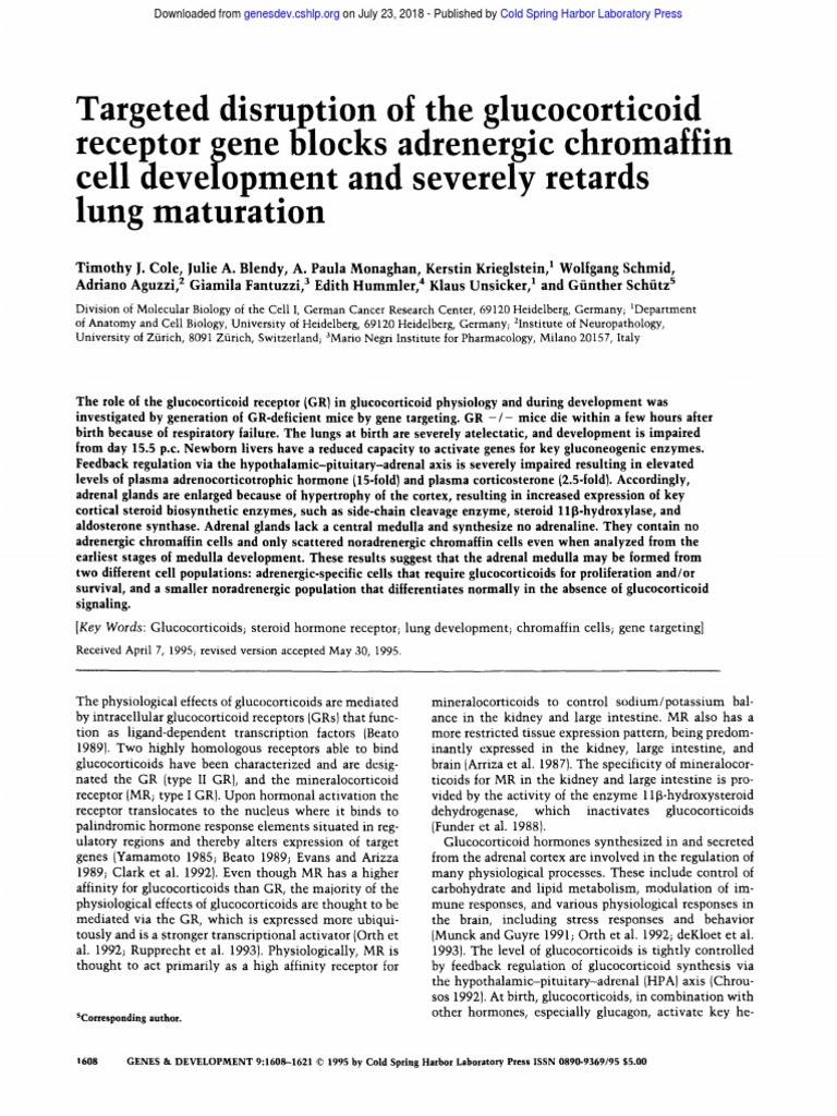 19. Targeted Disruption of the Glucocorticoid | PDF | Adrenal Gland | Glucocorticoid