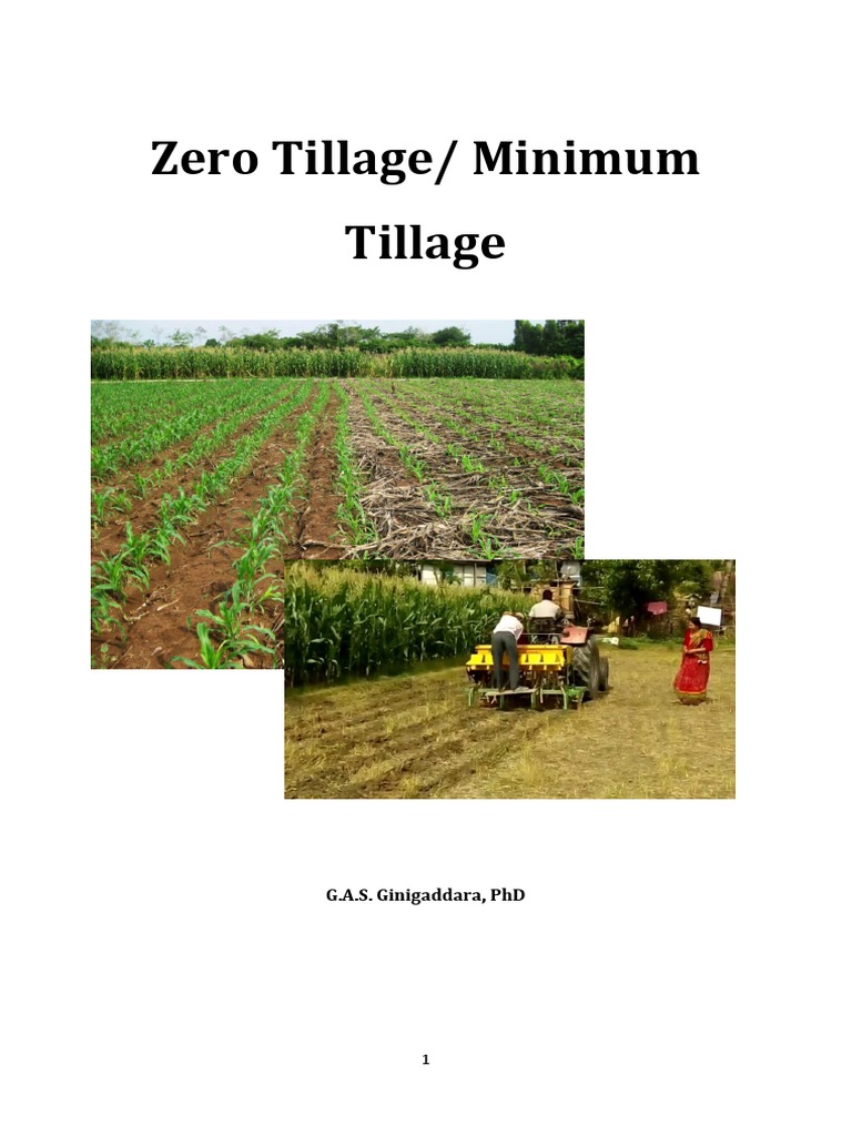 Zero Tillage: Techniques and Benefits | PDF | Tillage | Agriculture