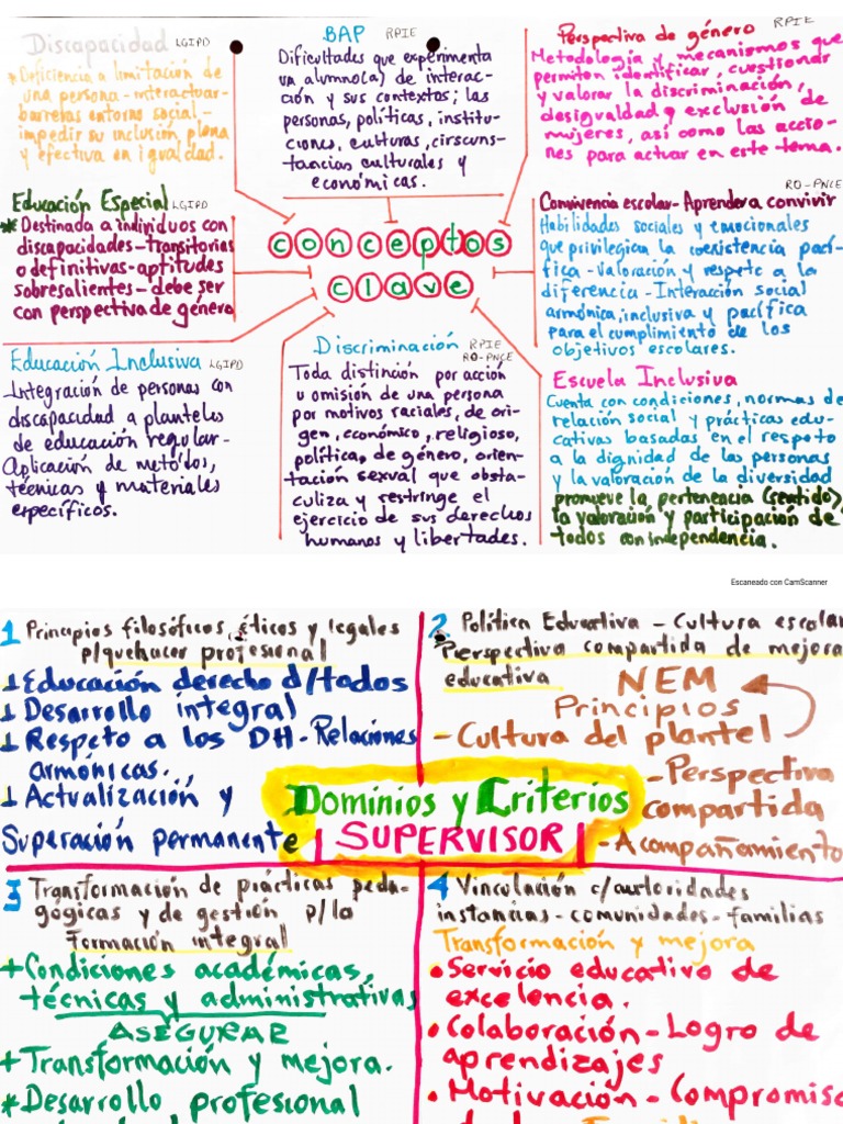 Conceptos Clave 01 | PDF