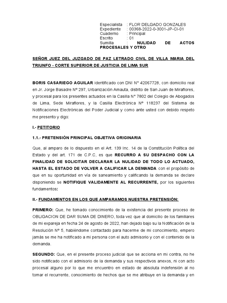 Nulidad | PDF