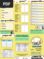 Pfizer Vanguard SP Final | PDF | Vacunas | Virus