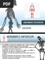 Marcas Oseas | PDF | Sistema musculoesquelético | Sistema esquelético
