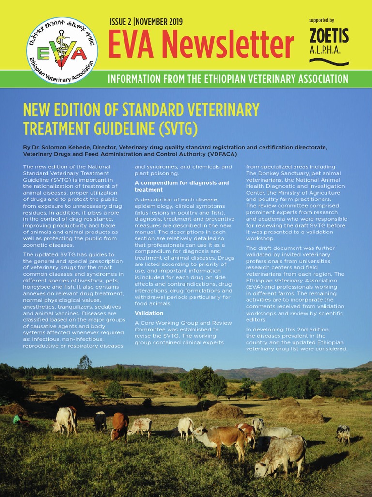 EVA Newsletter Issue 2 | PDF | Veterinary Medicine | Equus (Genus)