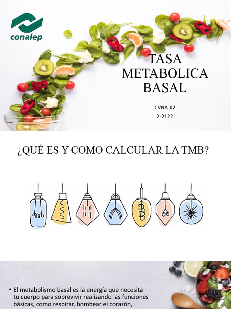 Tasa Metabolica Basal | PDF