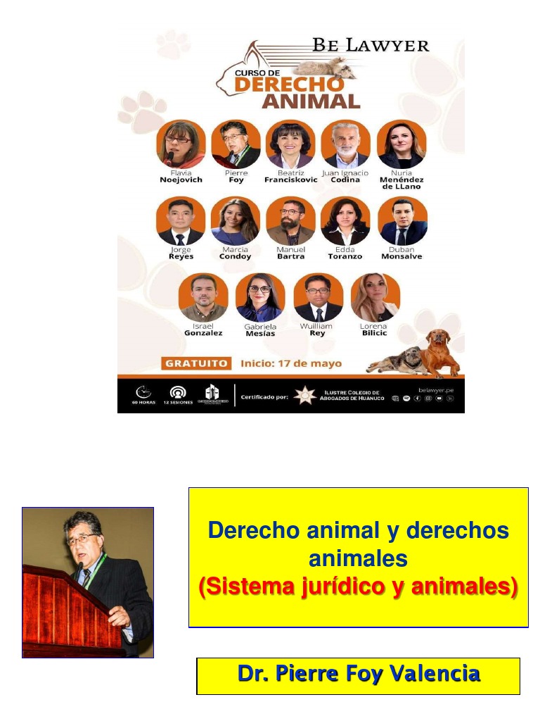 2.-Derecho-Animal-y-Derechos-de-Animales-Dr.-Pierre-Foy (1) | PDF ...