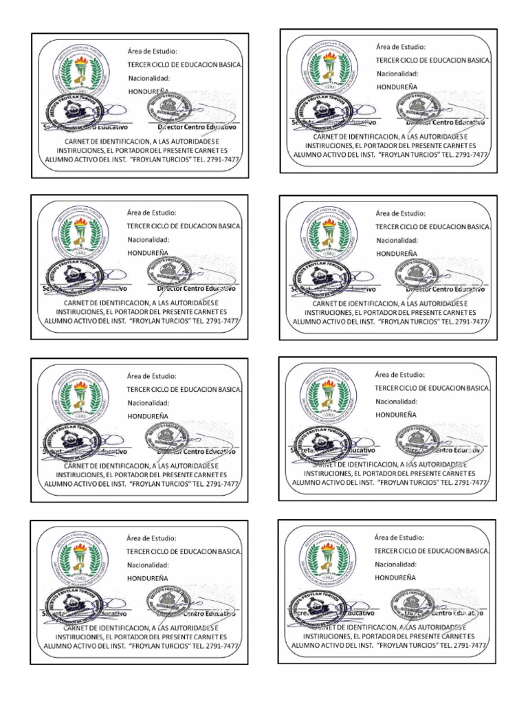 Carnet Estudiantil i.f.t..Docx Tercer Ciclo | PDF