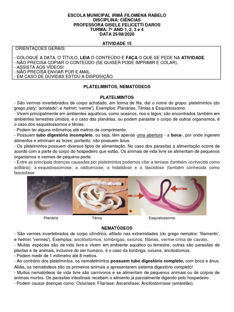 7 Ano - Atividade de Platelmintos e Nematodeos | PDF