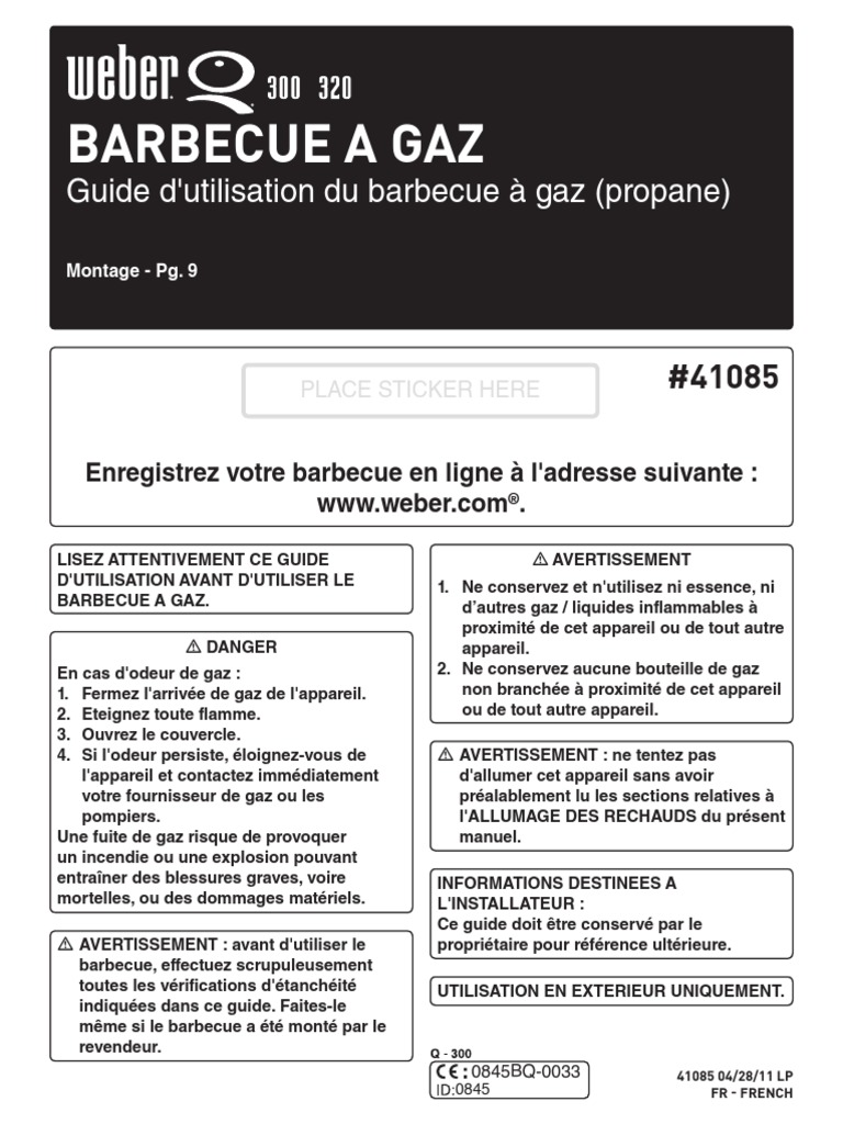 Weber Q 300 320 | PDF
