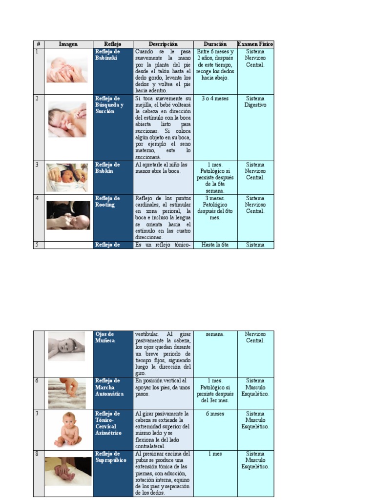 Cuadro Reflejos de Bebes | PDF | Hombro | Anatomía
