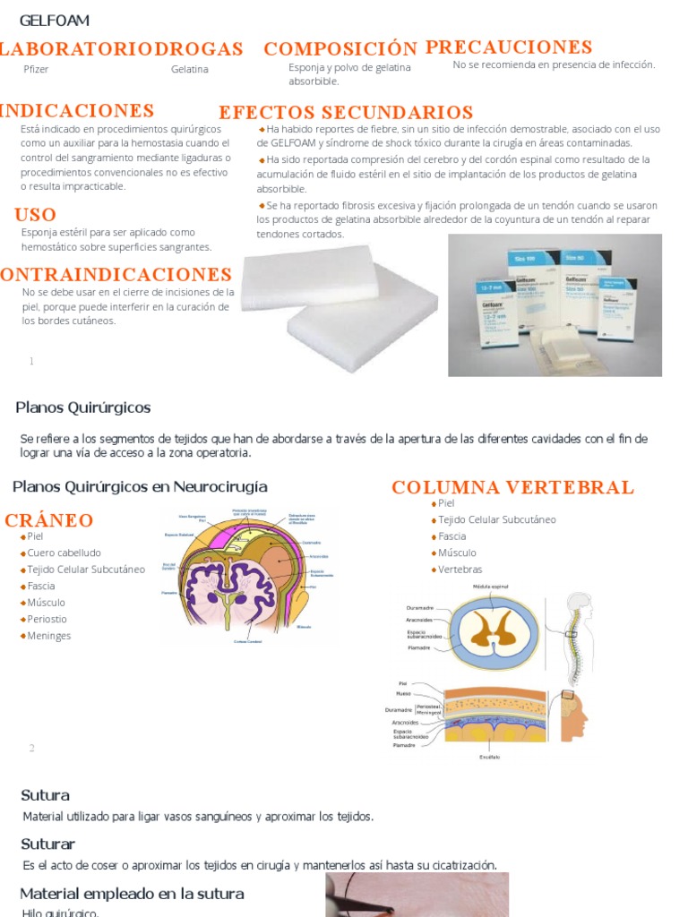 Presentacion de Suturas | PDF | Sutura Quirúrgica | Anatomía