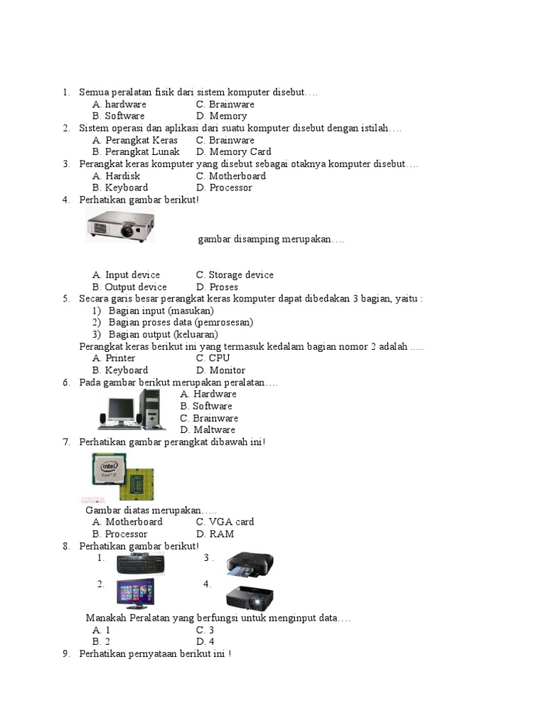 Perangkat Input dan Output Komputer | PDF