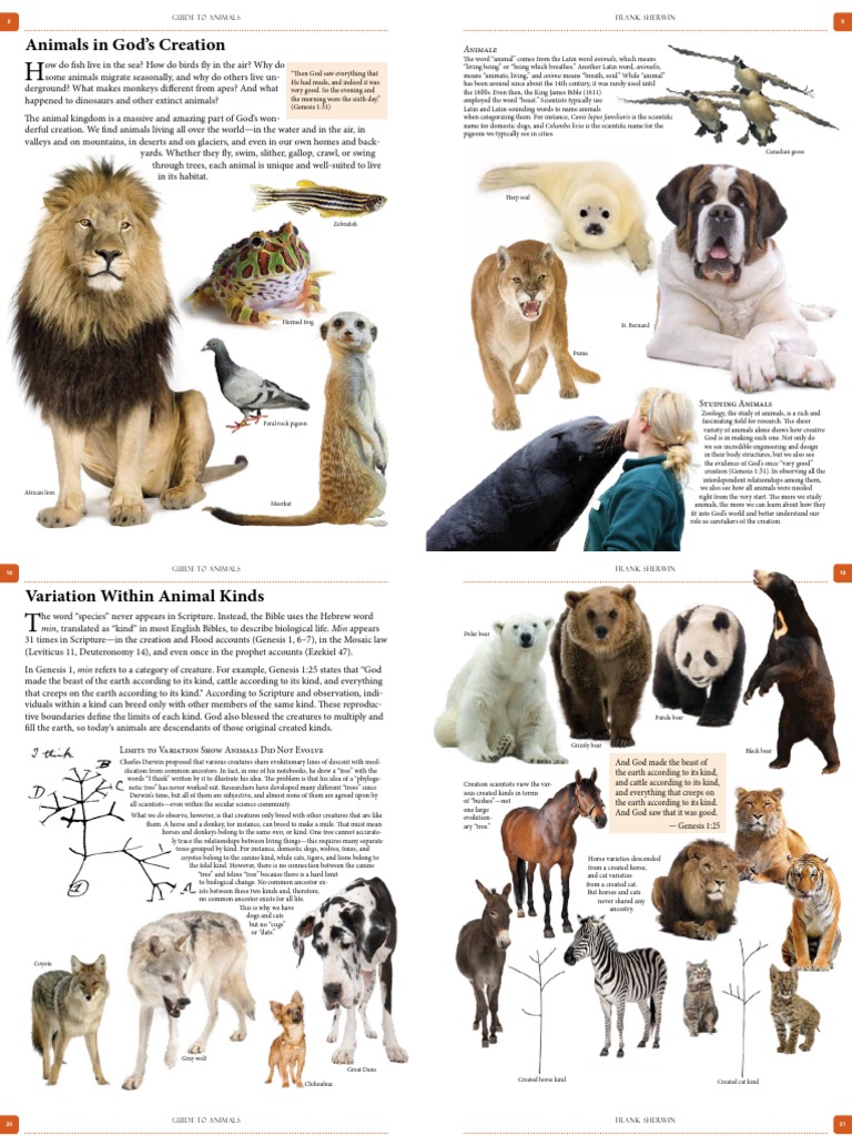 Animal Guide SamplesDOtnoneyu | PDF | Eye | Tyrannosaurus
