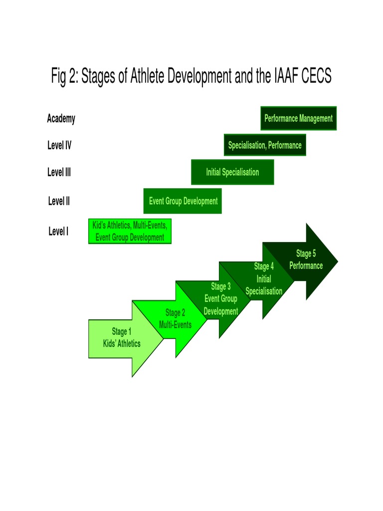 Athlete Development Stages Overview | PDF