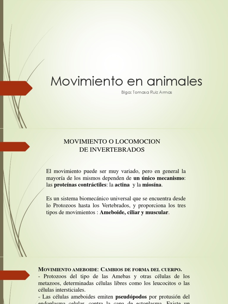 Movimiento en Animales | PDF | Músculo esquelético | Biología Celular)