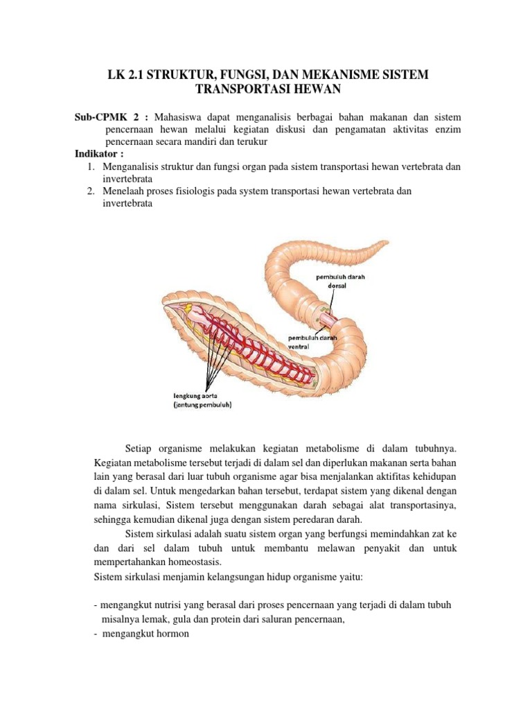 LK 2.1 Struktur, Fungsi, Dan Mekanisme Sistem Transportasi Hewan | PDF LK 2.1 Struktur, Fungsi, Dan Mekanisme Sistem Transportasi Hewan | PDF