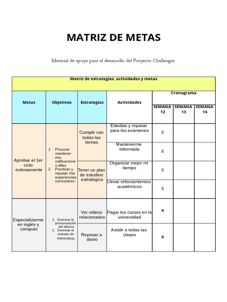 Matriz de Metas 13 | PDF | Informática