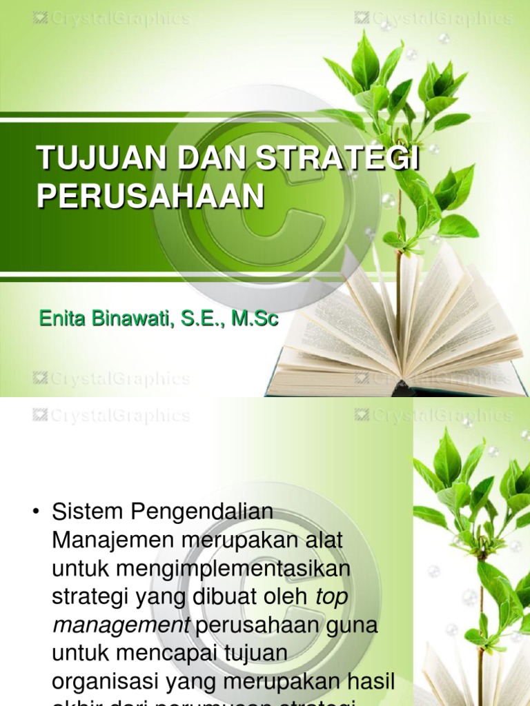 Tujuan Dan Strategi Perusahaan | PDF
