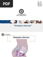 Transtornos de La Estatica Pelvica | PDF | Pelvis | Micción