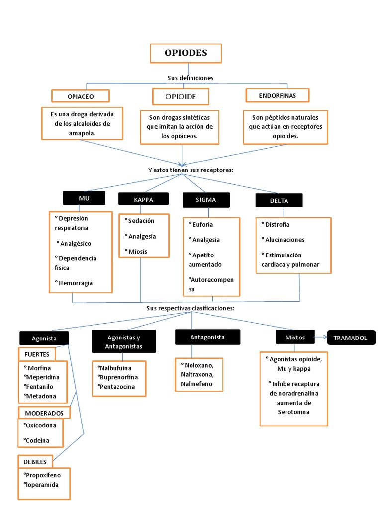 Opioides | PDF | Opioide | Química medicinal