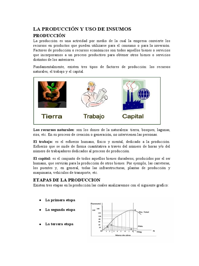 La Producción y Uso de Insumos | PDF