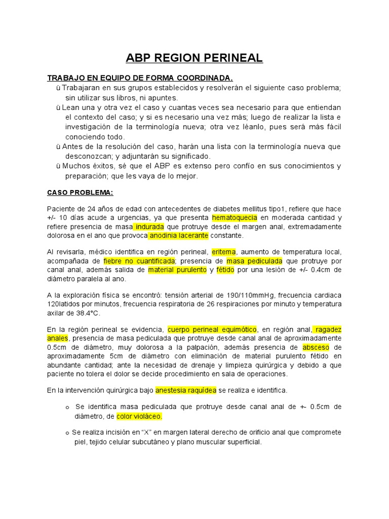 Abp 2 | PDF | Recto | Nervio